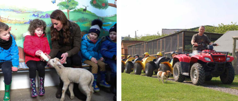 Our Green Story: The Ark Open Farm - Green Tourism