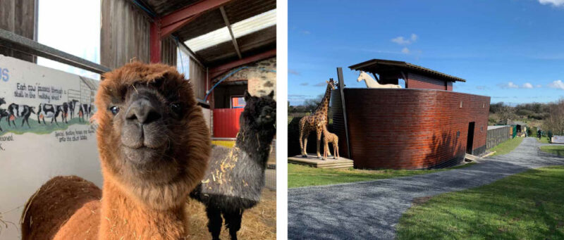 Our Green Story: The Ark Open Farm - Green Tourism