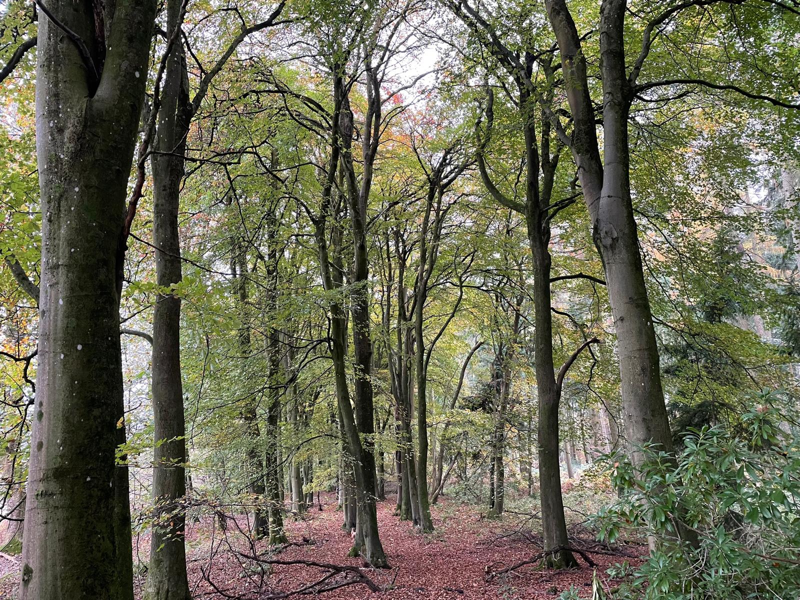 Our Green Story: Salwey Lodge - Green Tourism