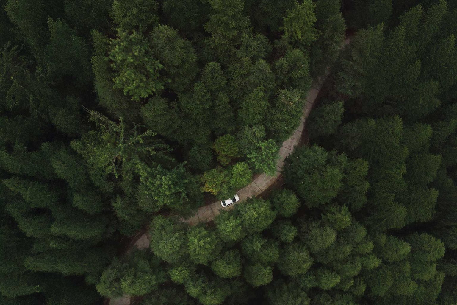 Carbon Tracker - Green Tourism
